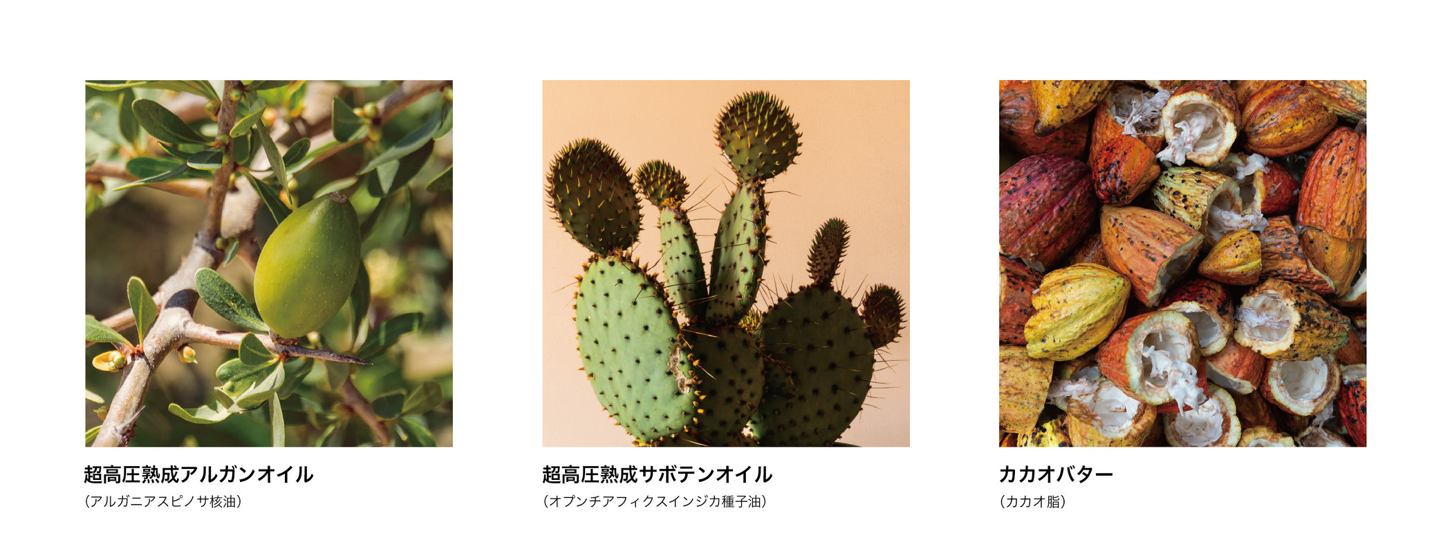 REPAIR SERIES OVERVIEW – 1DK