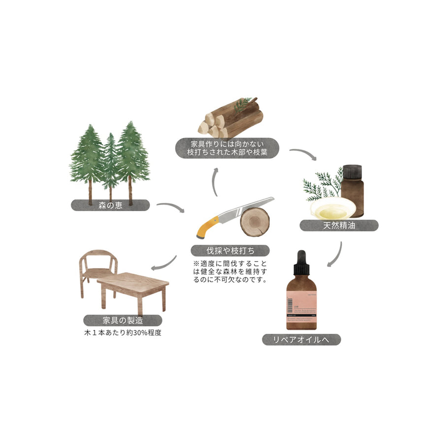 REPAIR SERIES OVERVIEW – 1DK